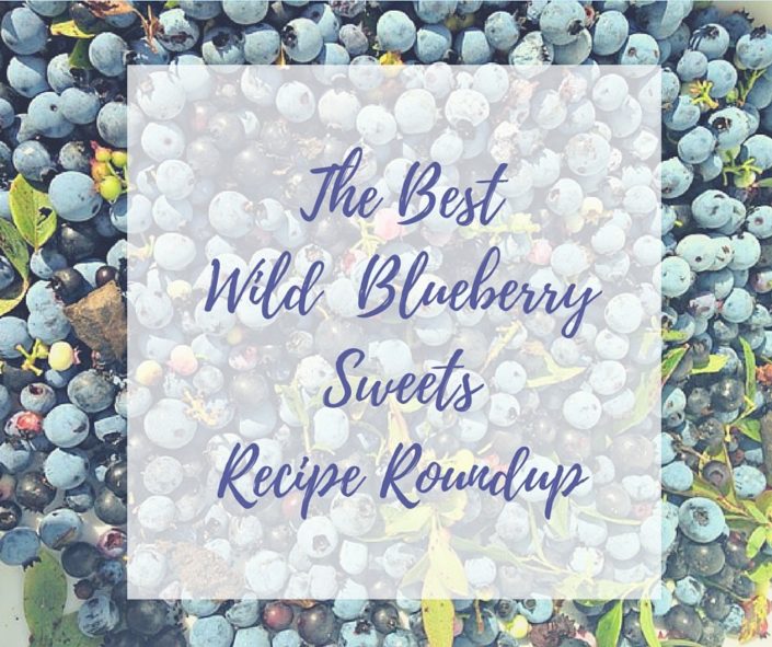 The Best Wild Blueberry Sweets Recipe Roundup | Food Confidence